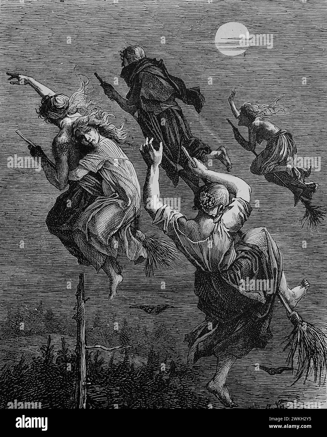 Witches riding on brooms, illustration Stock Photo - Alamy