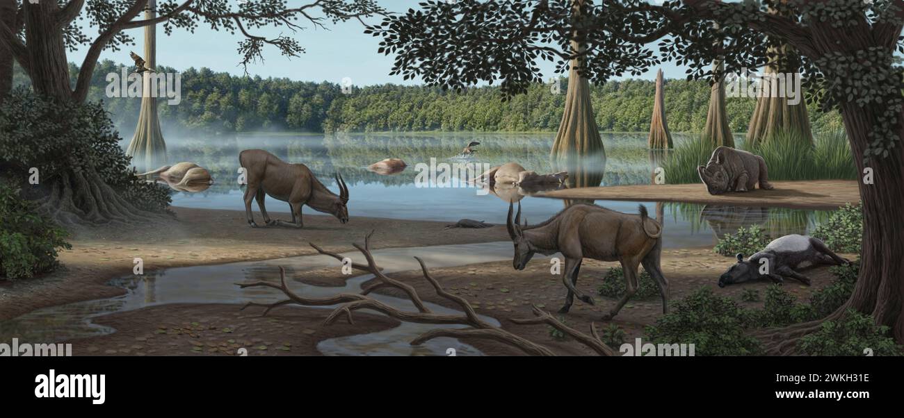 Animals dying from toxic gases, Pliocene epoch, Camp del Ninots, Spain ...