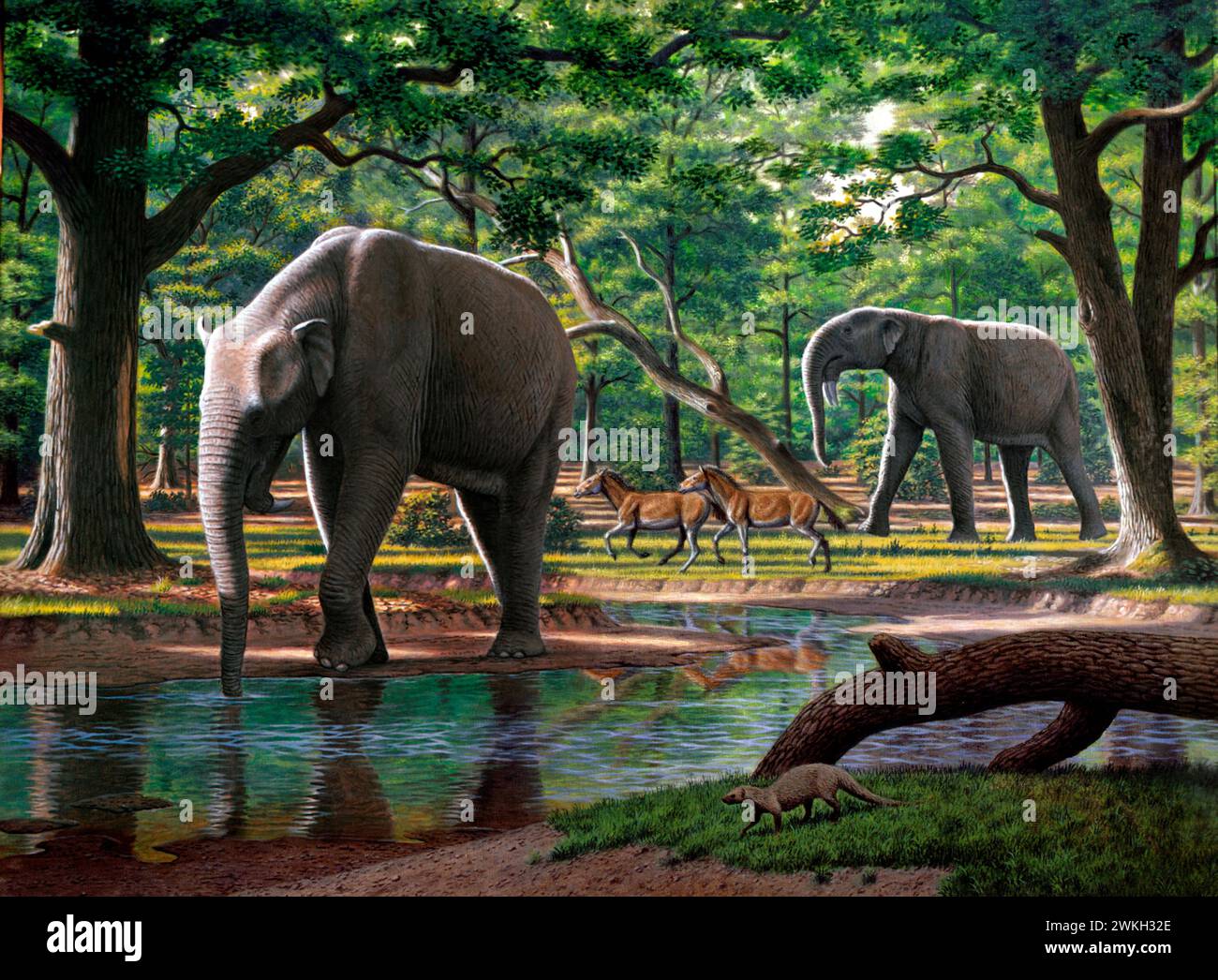 Early Miocene France, illustration Stock Photo - Alamy