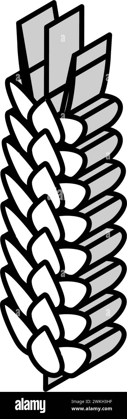 ear barley cereal isometric icon vector illustration Stock Vector Image ...