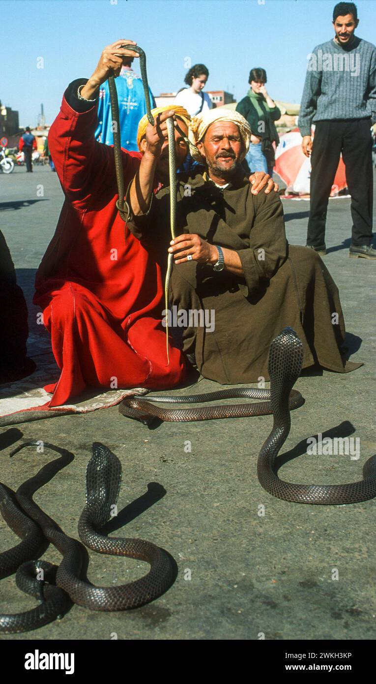 Marrakech, Morocco. Snake-charmers performing in the Djemaa El Fna ...