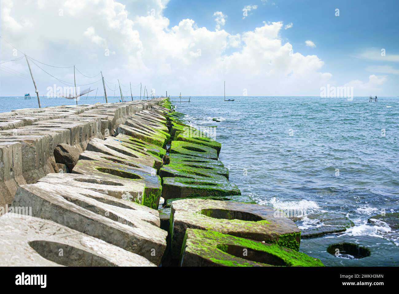 The breakwater covered with green moss stretches out to the sea in Tam ...