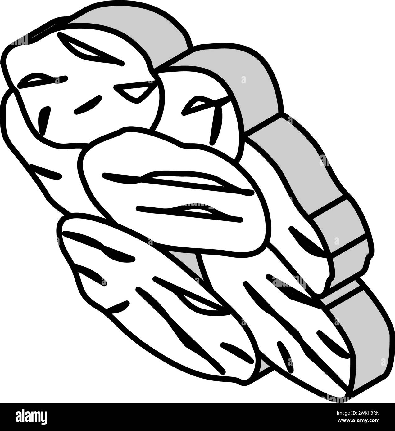 dates dried fruit isometric icon vector illustration Stock Vector Image ...