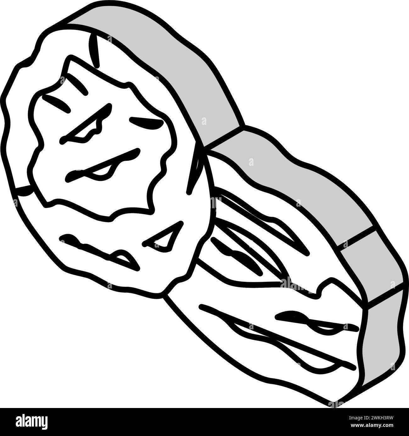 apricot dried fruit isometric icon vector illustration Stock Vector ...