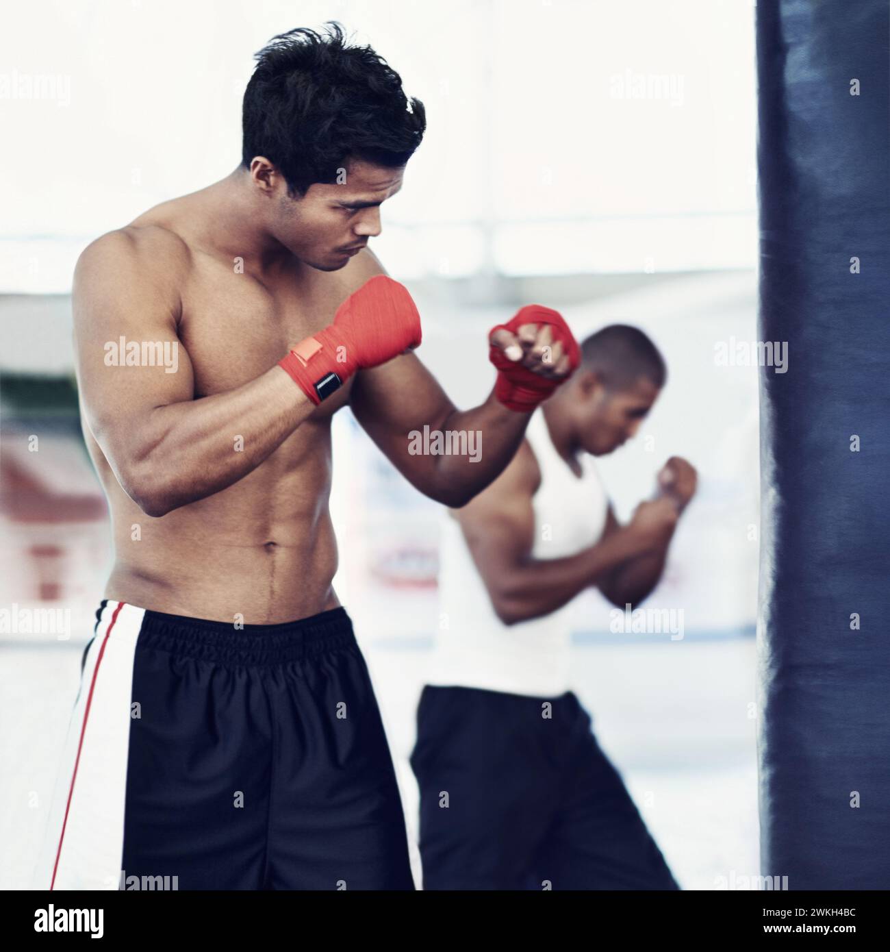 Boxer in natural light hi-res stock photography and images - Alamy