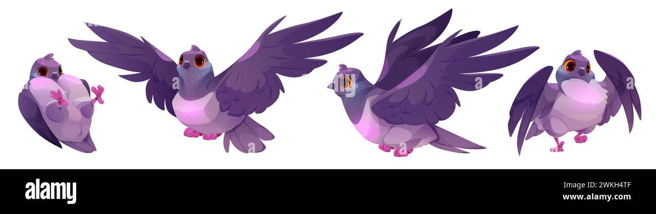 Pigeon bird characters set isolated on white background. Vector cartoon ...