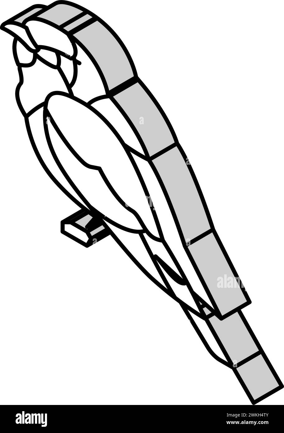 lilac breasted roller bird exotic isometric icon vector illustration ...