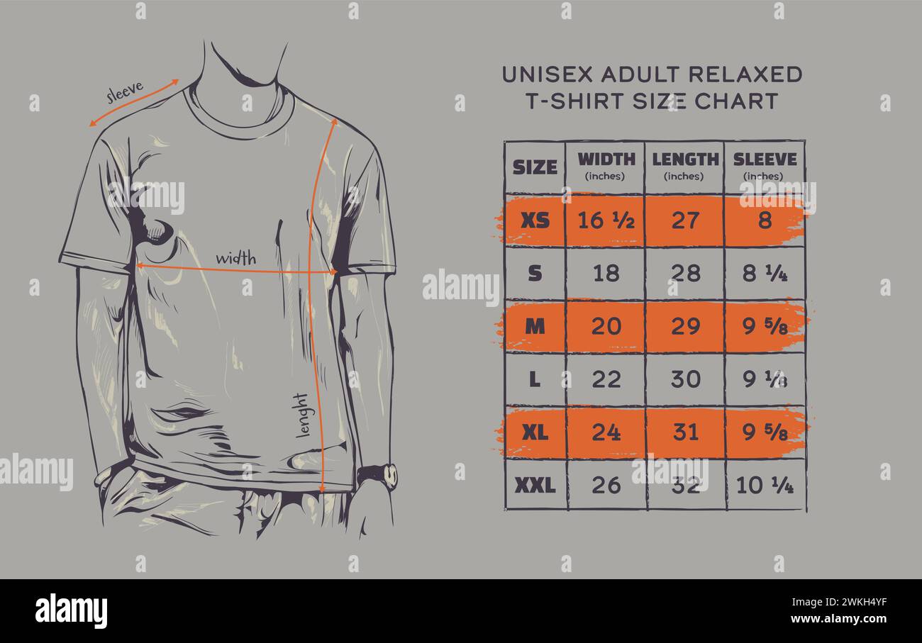 Vector Illustration Of A T Shirt Size Chart Template Stock Vector Image And Art Alamy