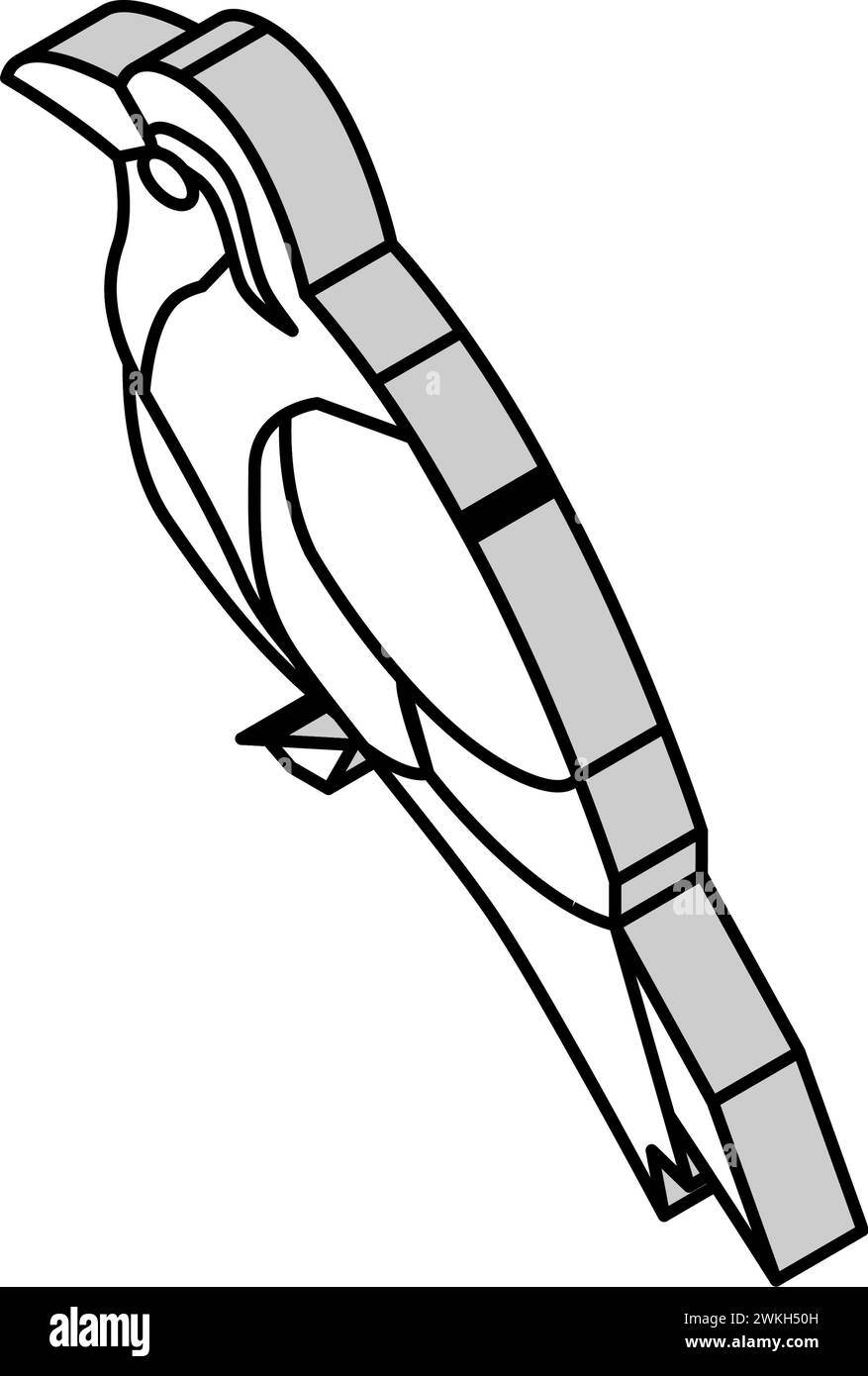 inca tern bird exotic isometric icon vector illustration Stock Vector ...