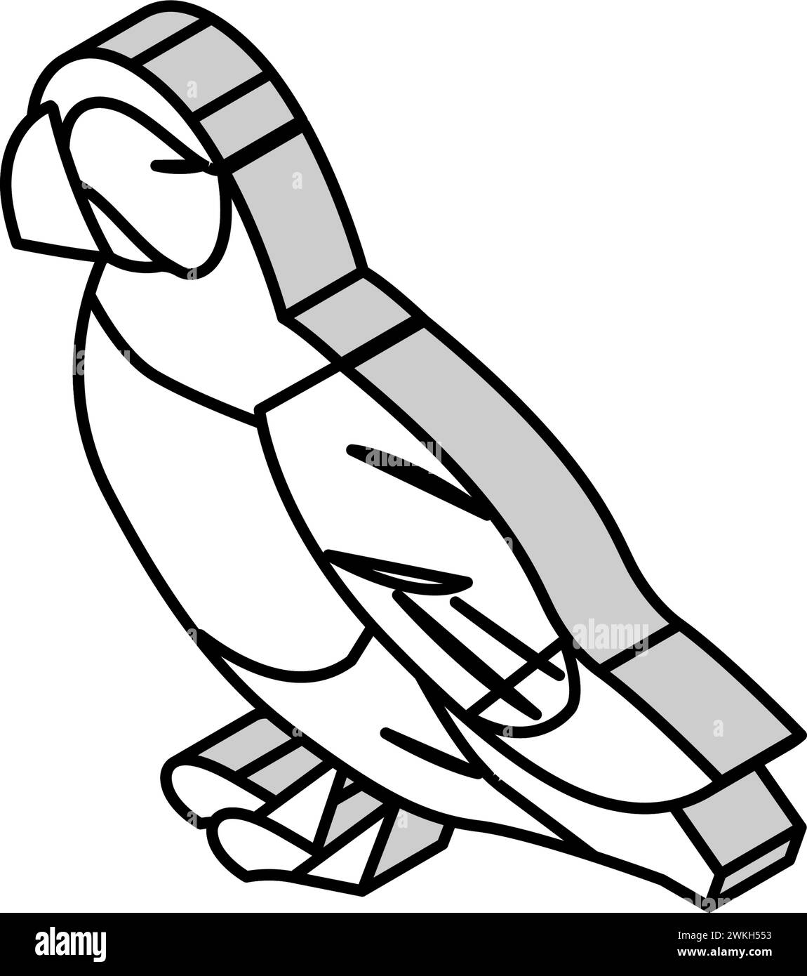 atlantic puffin bird exotic isometric icon vector illustration Stock ...