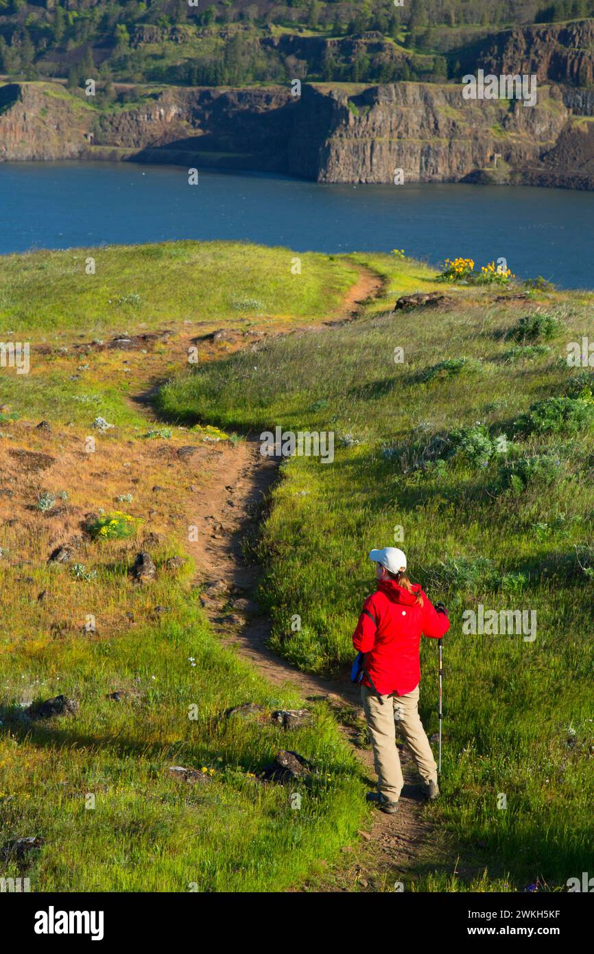 Hiking trail, Tom McCall Preserve, Columbia River Gorge National Scenic ...
