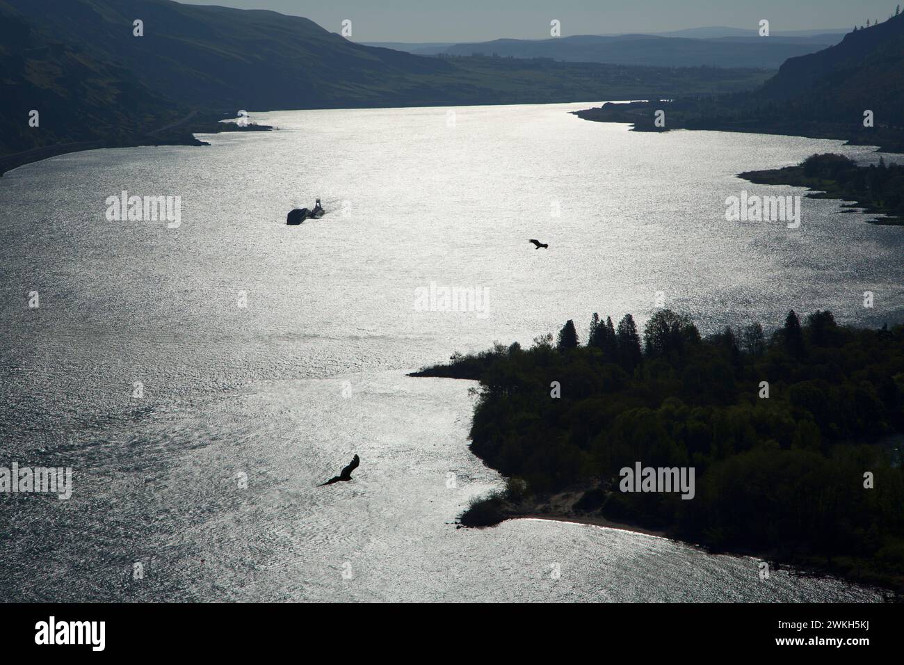 Columbia River silhouette view, Tom McCall Preserve, Columbia River ...