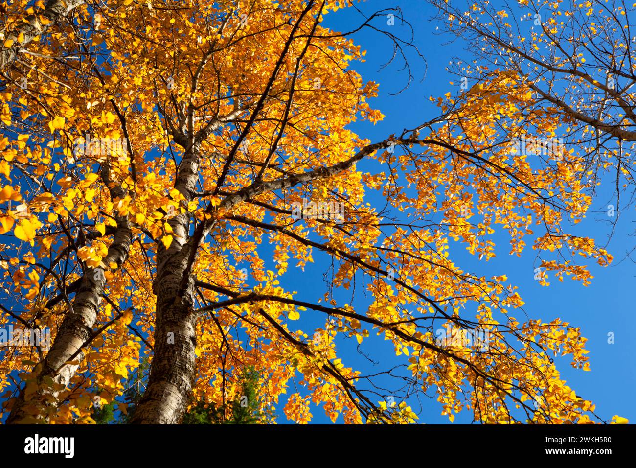 Viento state park hi-res stock photography and images - Alamy