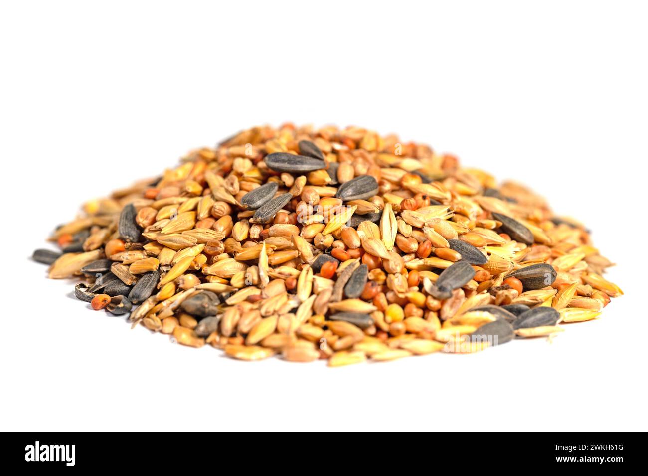 Animal scatter food isolated against white background Stock Photo - Alamy