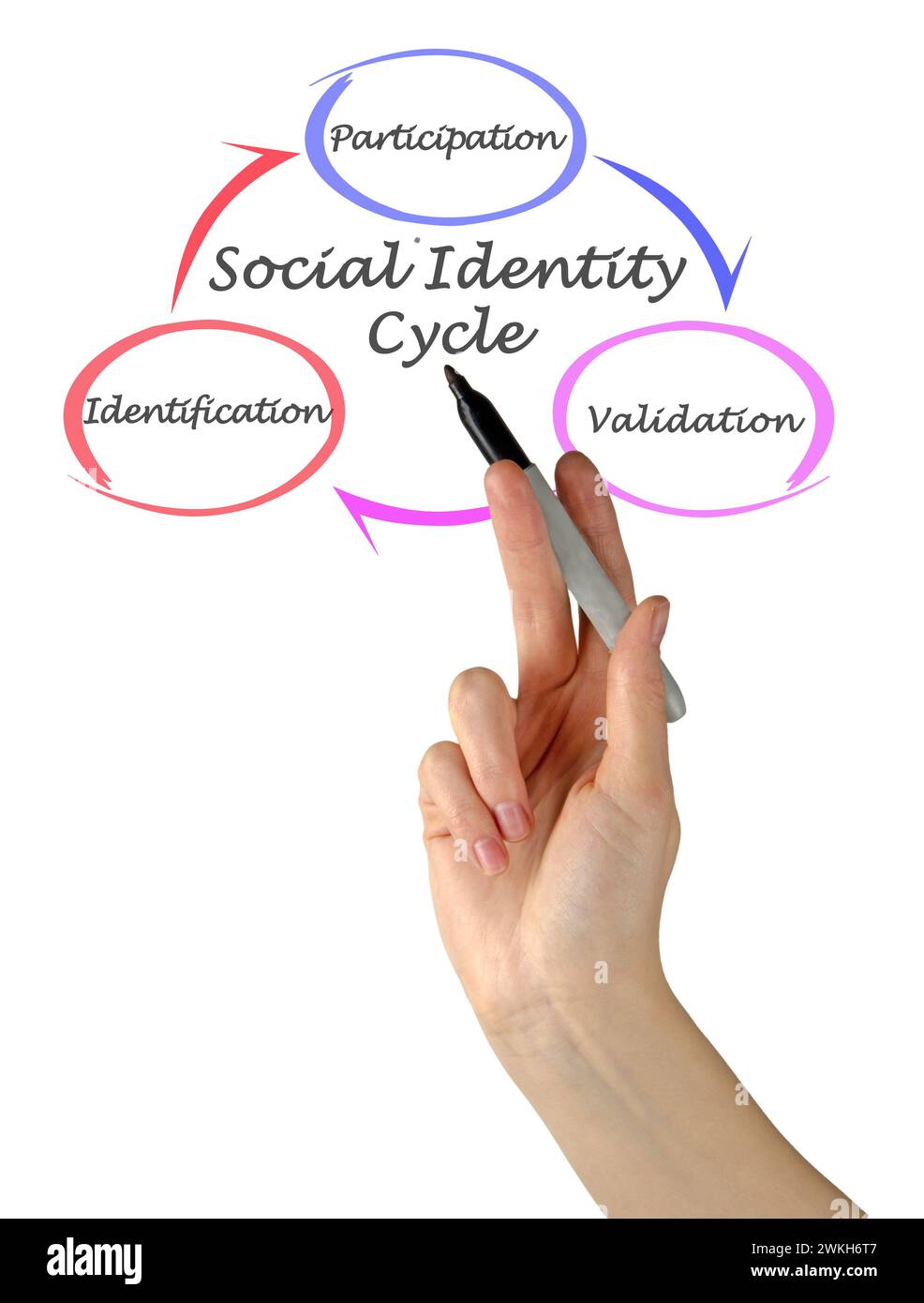 Woman Presenting Social Identity Cycle Stock Photo - Alamy