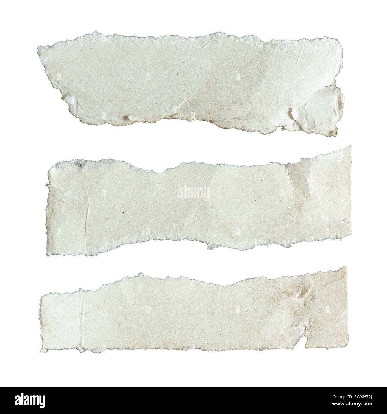 Set of torn old long white papers with jagged edges on white background ...