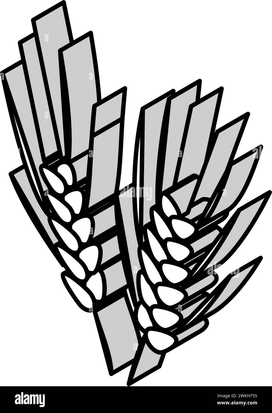 semolina plant healthy isometric icon vector illustration Stock Vector ...