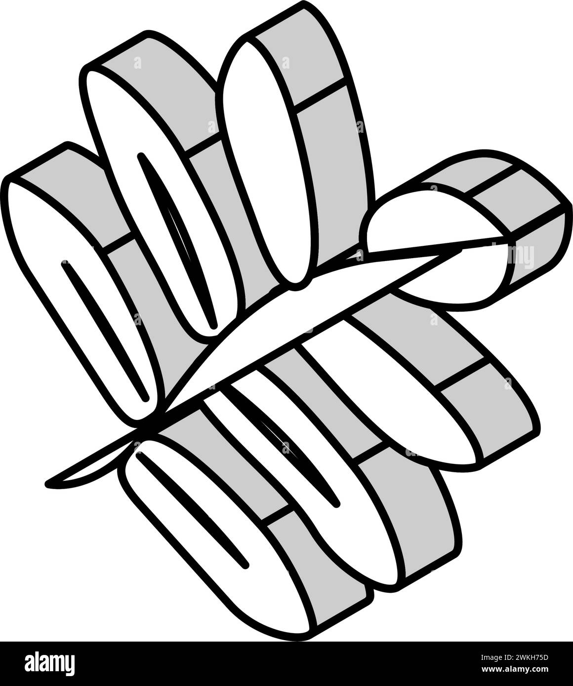 royal fern tropical leaf isometric icon vector illustration Stock ...