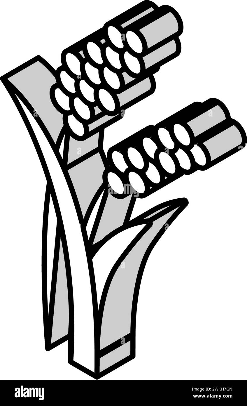 millet plant food isometric icon vector illustration Stock Vector Image ...