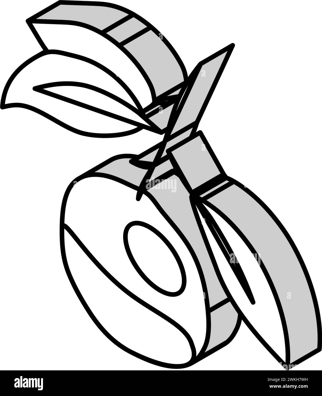 Mandarin leaves Black and White Stock Photos & Images - Alamy