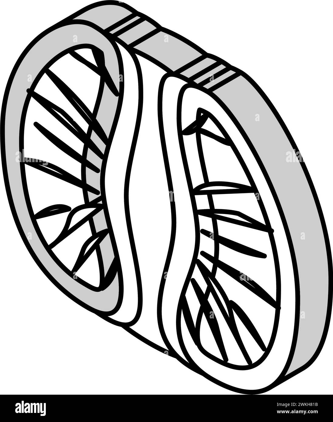 Tangerine mandarine slice orange Black and White Stock Photos & Images ...