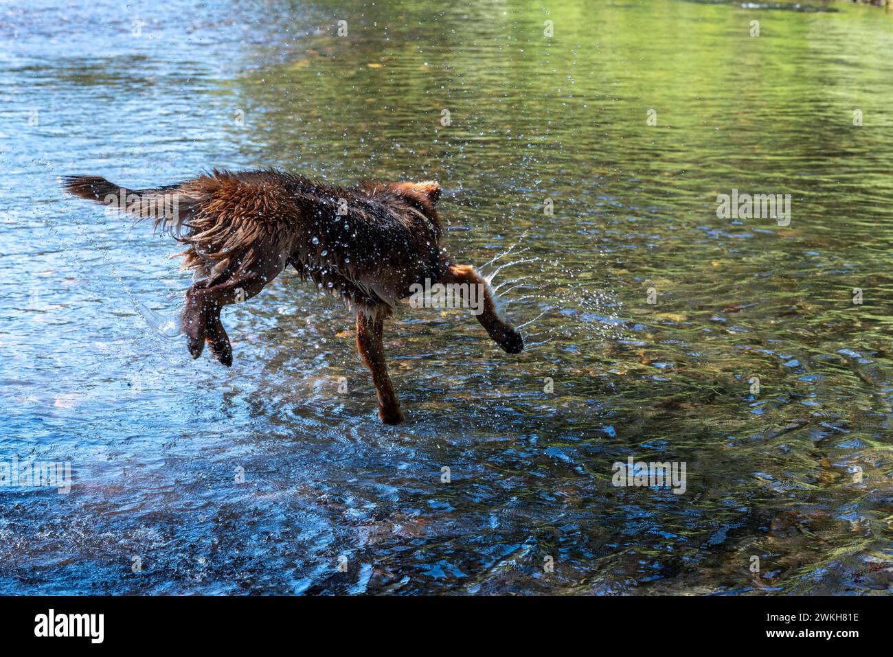 Northeast usa jumping in river hi-res stock photography and images - Alamy