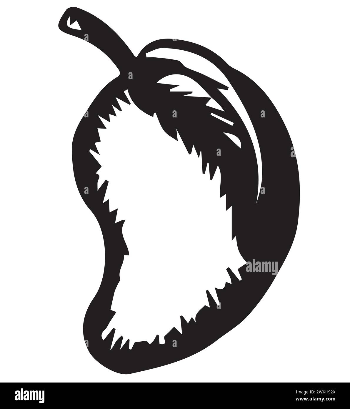 Mango fruit in doodle style, hand drawn. Vector illustration isolated ...