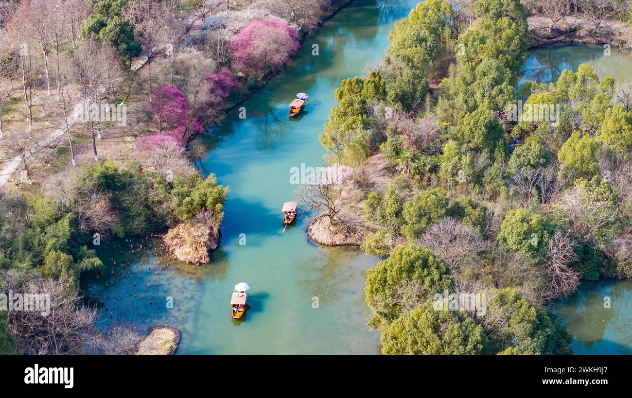 Aerial photo shows blooming plum blossoms at Xixi wetland in Hangzhou ...