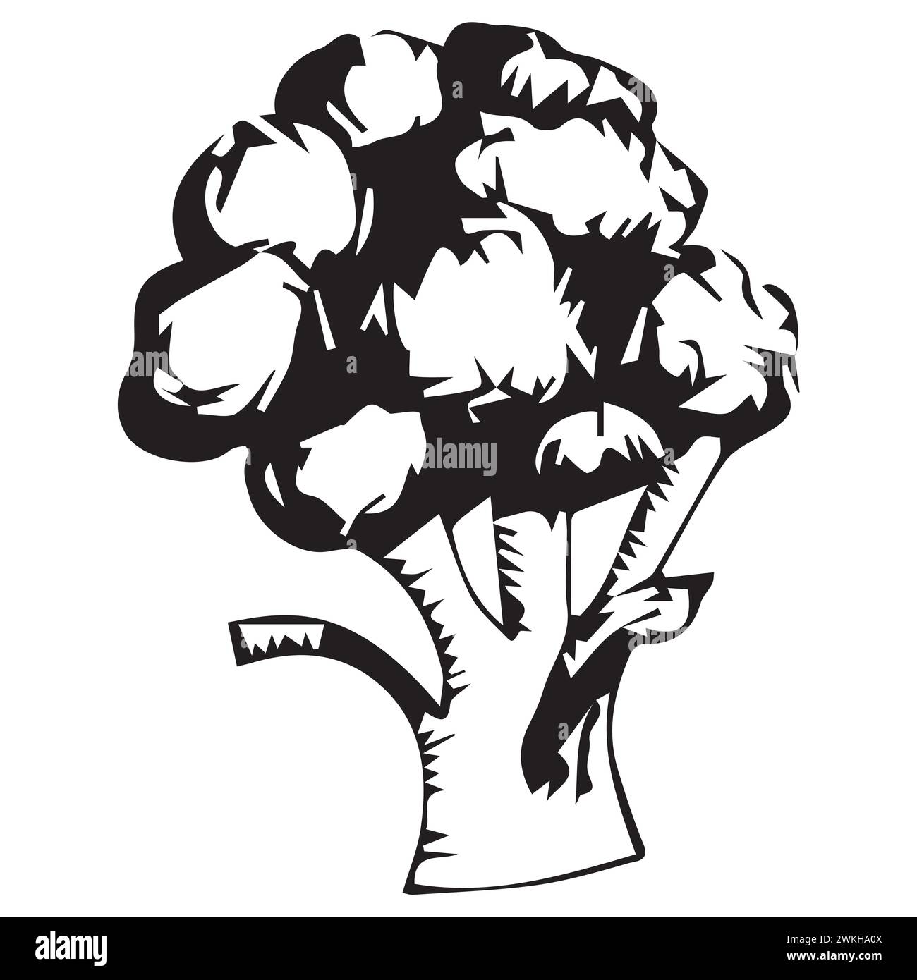 Broccoli vegetable. Hand drawing. Graphics. Vector illustration ...