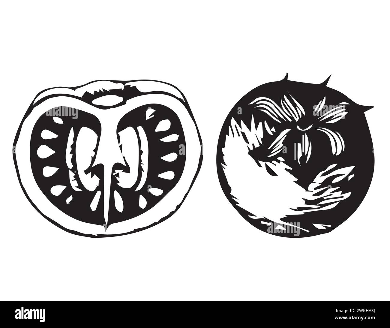 Tomatoes whole and cut in half. Hand drawing. Graphics. Vector ...