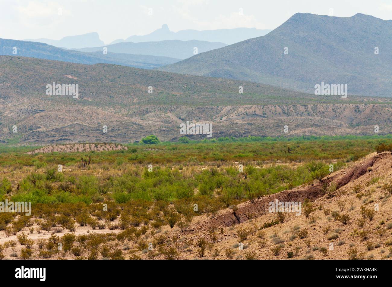 The Arid and Rugged Terrain of Big Bend National Park, in southwest ...