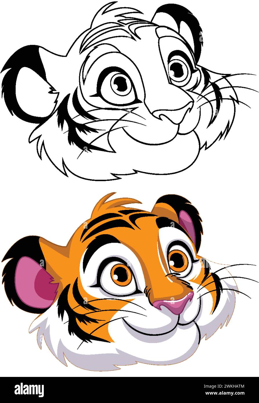 Vector illustration of a tiger cub's transformation Stock Vector Image ...