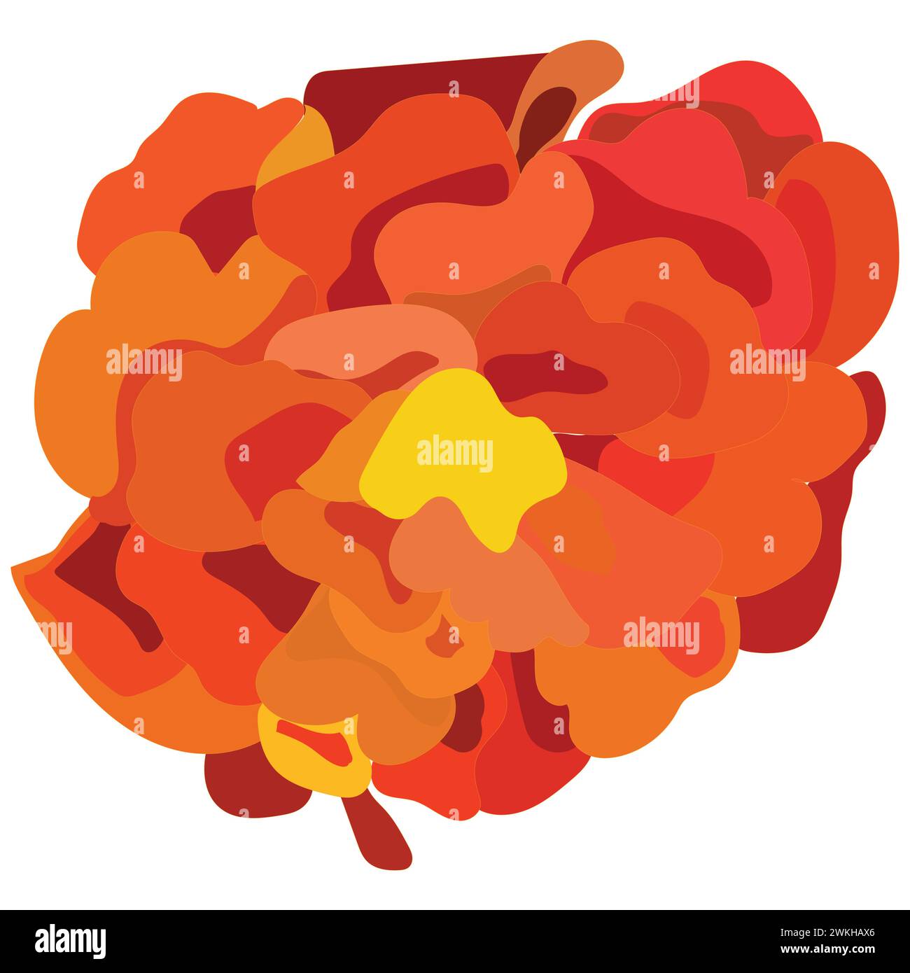 Orange calendula, flower, symbol of the Mexican holiday Day of the Dead ...