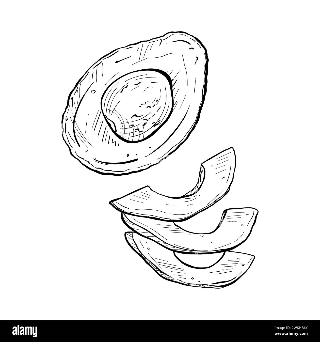 Avocado slices half vector illustration. Avocado fruit ripe part and ...