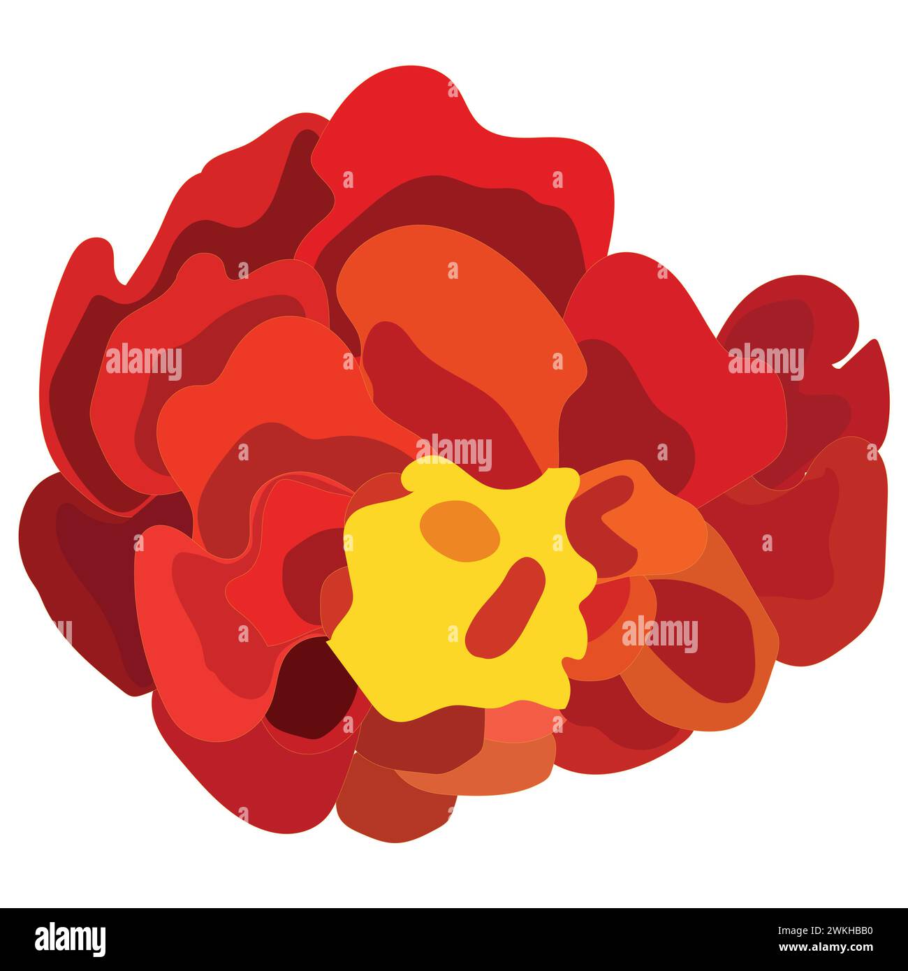 Orange calendula, flower, symbol of the Mexican holiday Day of the Dead ...