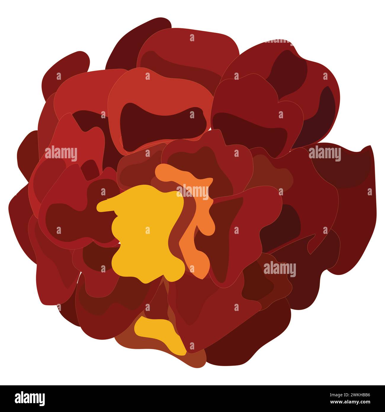 Orange calendula, flower, symbol of the Mexican holiday Day of the Dead ...