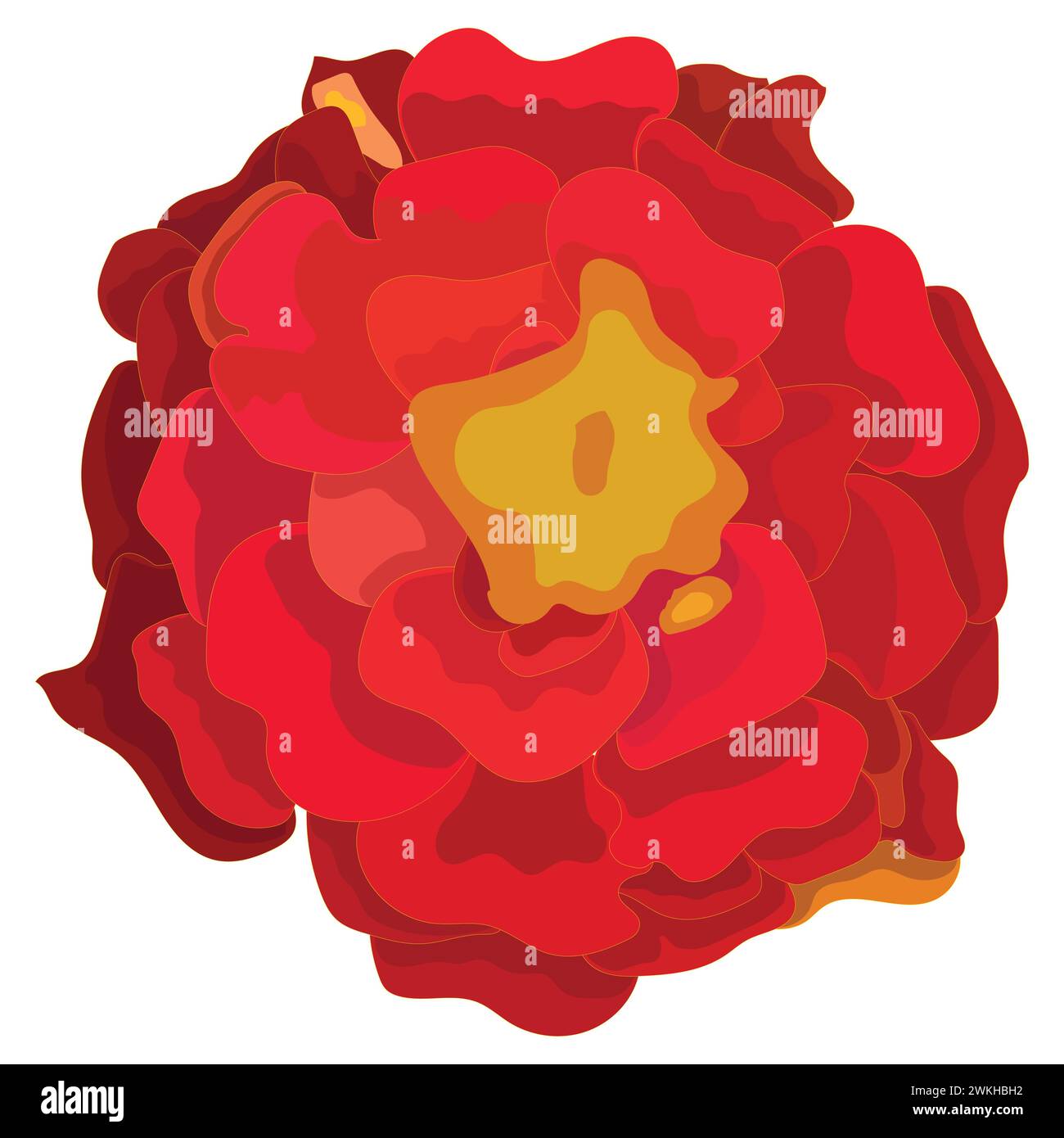 Orange calendula, flower, symbol of the Mexican holiday Day of the Dead ...