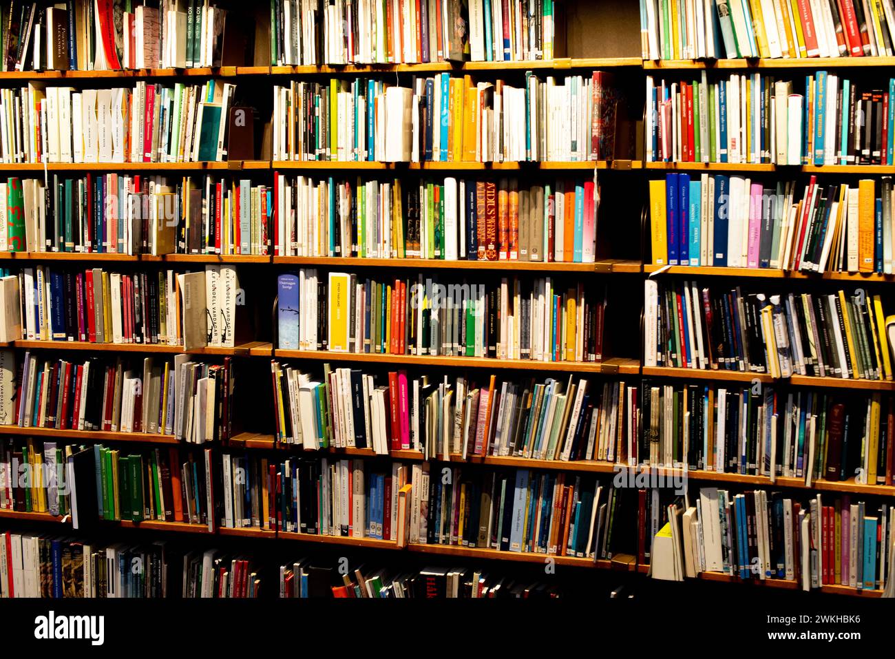 Stockholm library interior hi-res stock photography and images - Alamy
