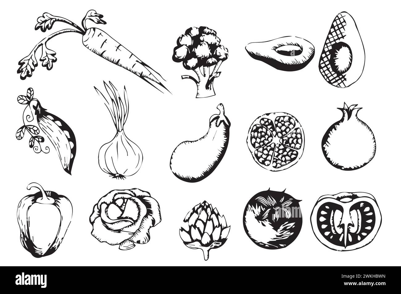 Set of monochrome hand drawn vegetables. Graphics. Vector illustration ...