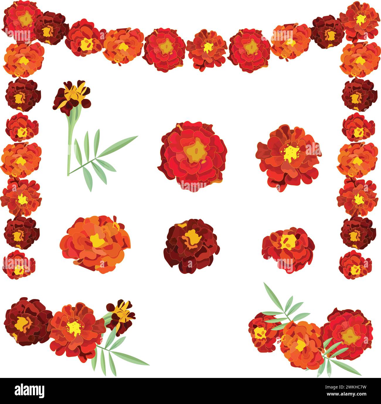 Orange calendula, symbol of the Mexican holiday Day of the Dead. A set ...