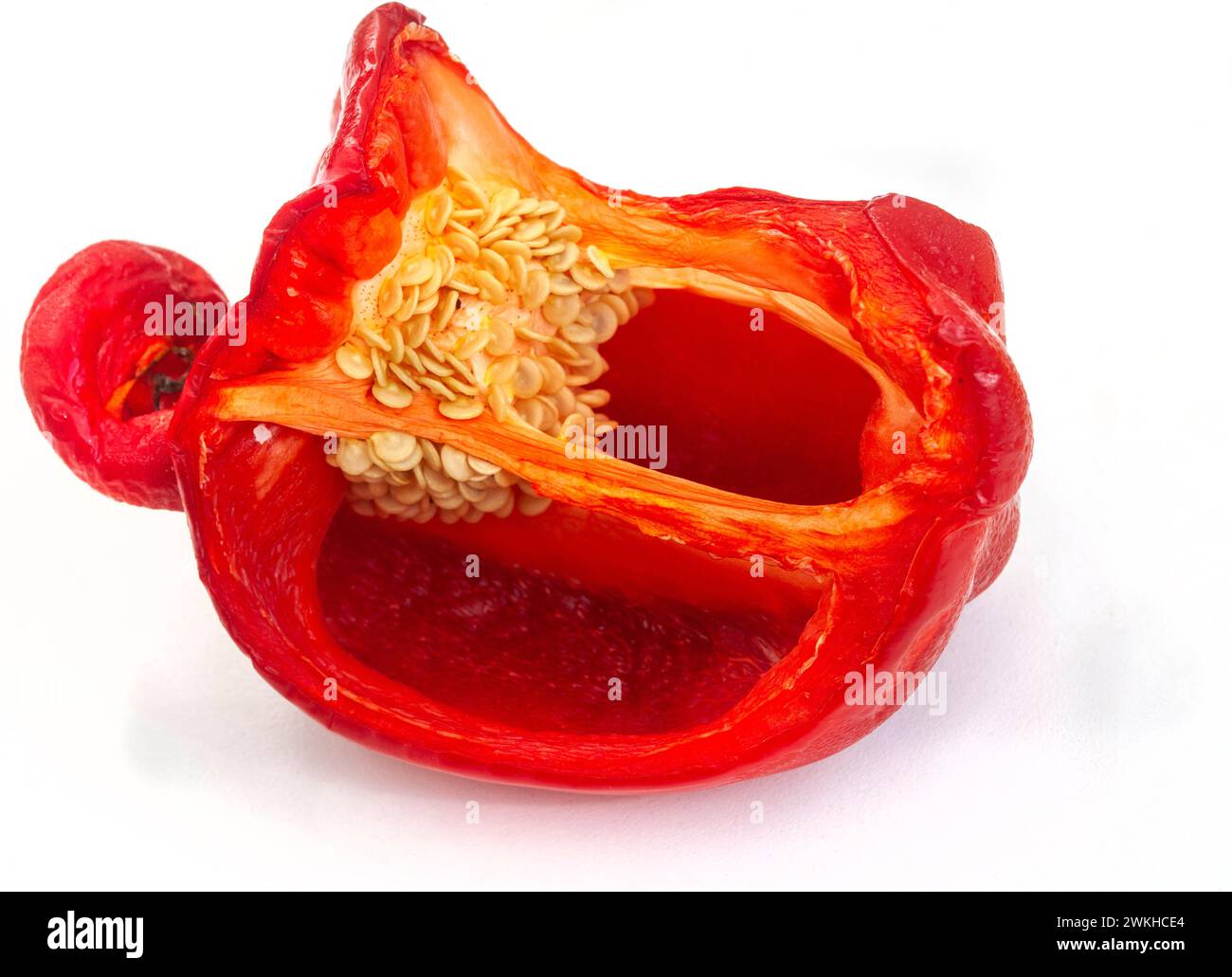 Spoilt Red bell pepper cut in half isolated on white with copy space ...