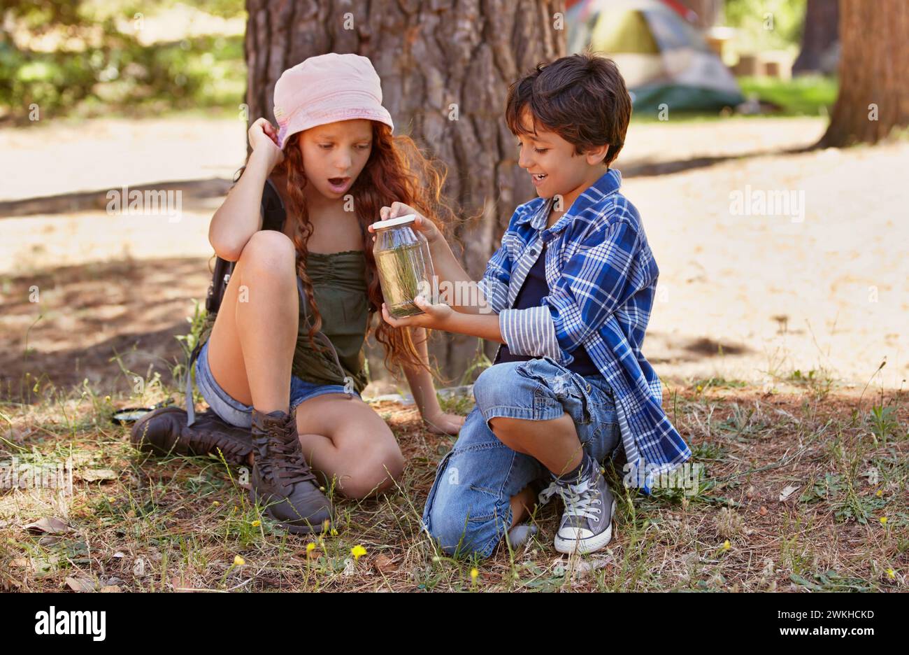 Young boy looking at bugs hi-res stock photography and images - Alamy