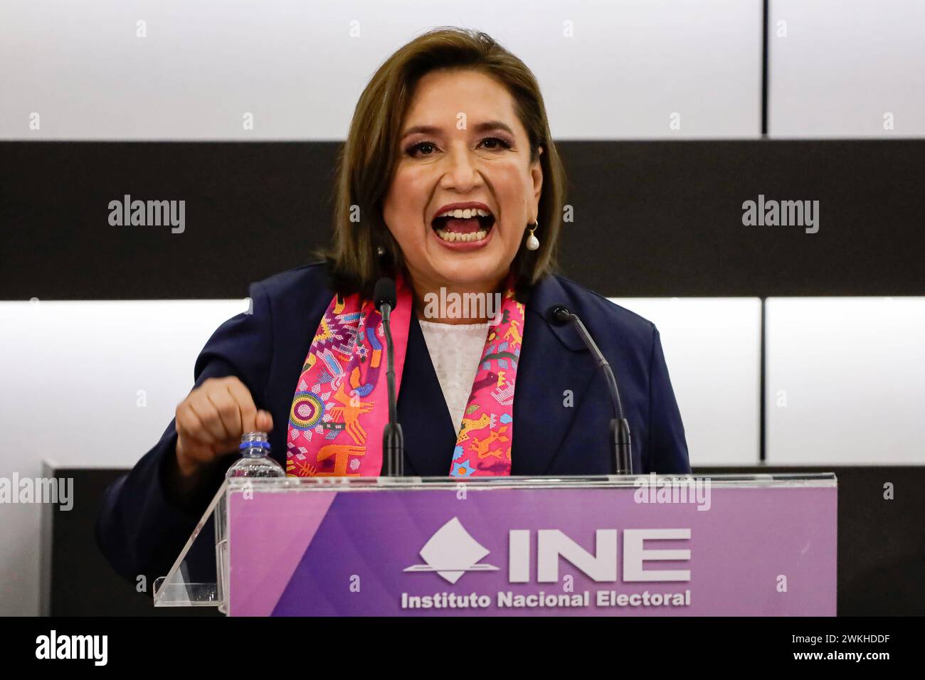 Registration of Xochitl Galvez as Mexico s Presidential Candidate ...