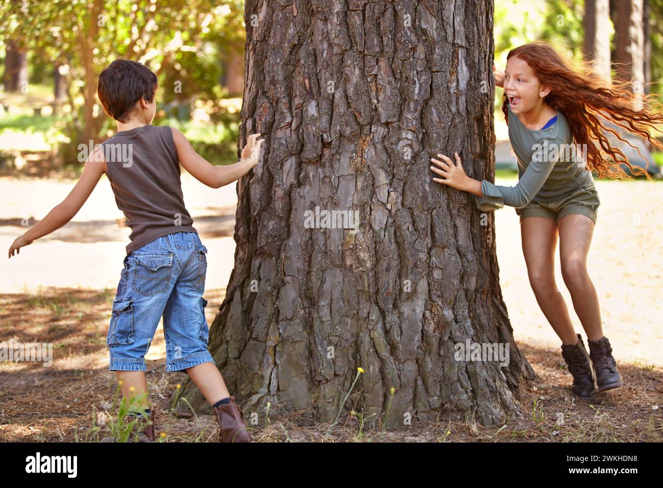 Children, forest or playing tag for fun with brother and sister sibling ...