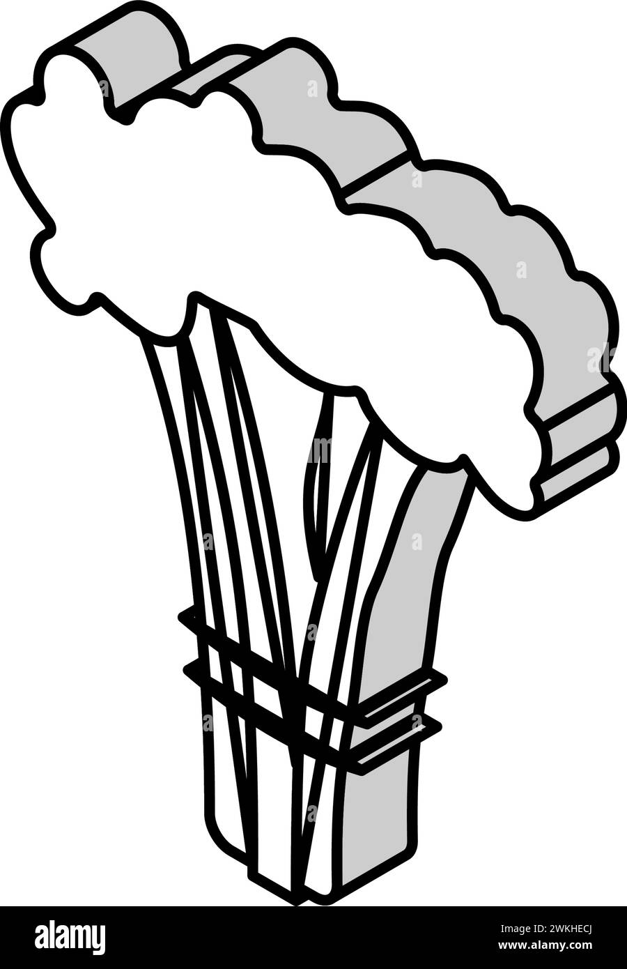 Broccoli rabe illustration Black and White Stock Photos & Images - Alamy