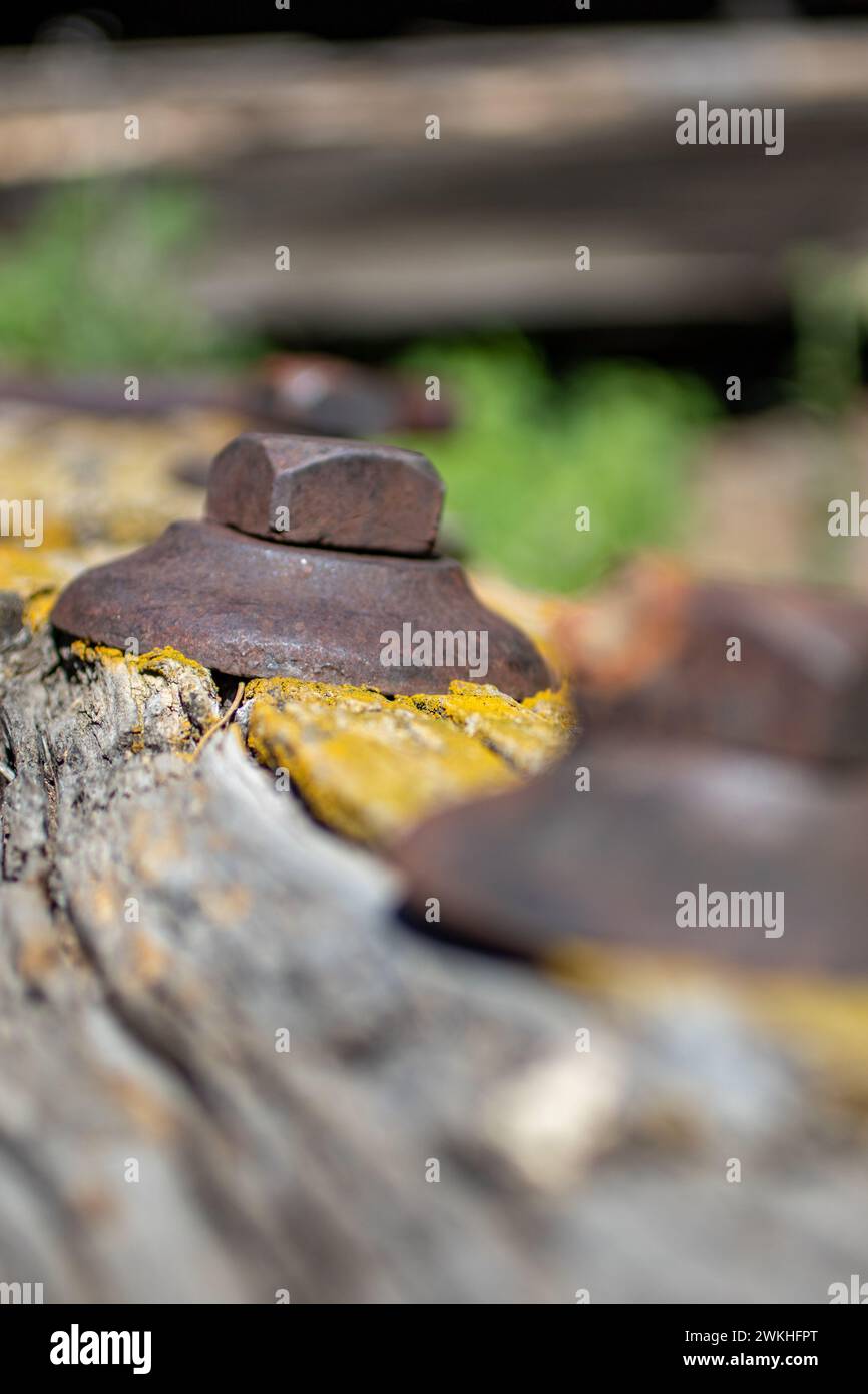 Chocolate icing drips from a tree branch Stock Photo - Alamy