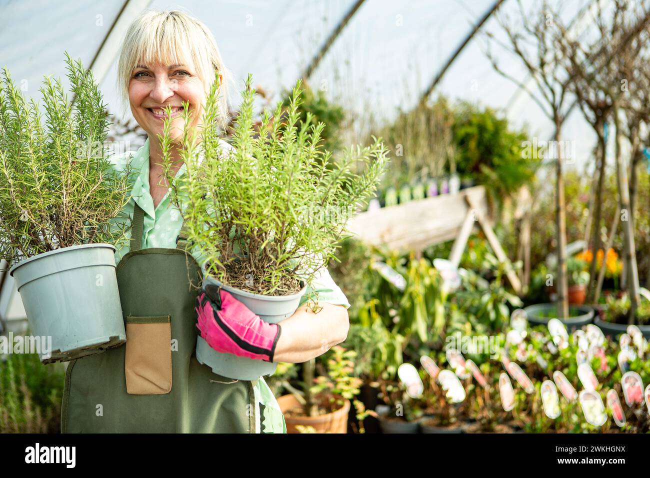 Smiling Woman with Potted Rosemary Plants Cheerful woman in a ...