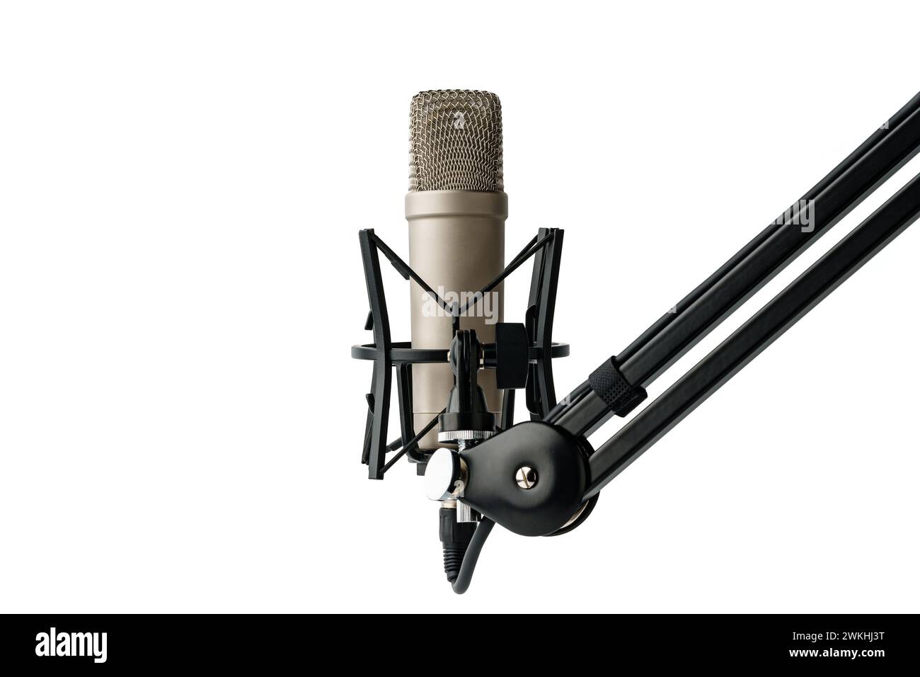 Professional studio microphone on the white background Stock Photo - Alamy