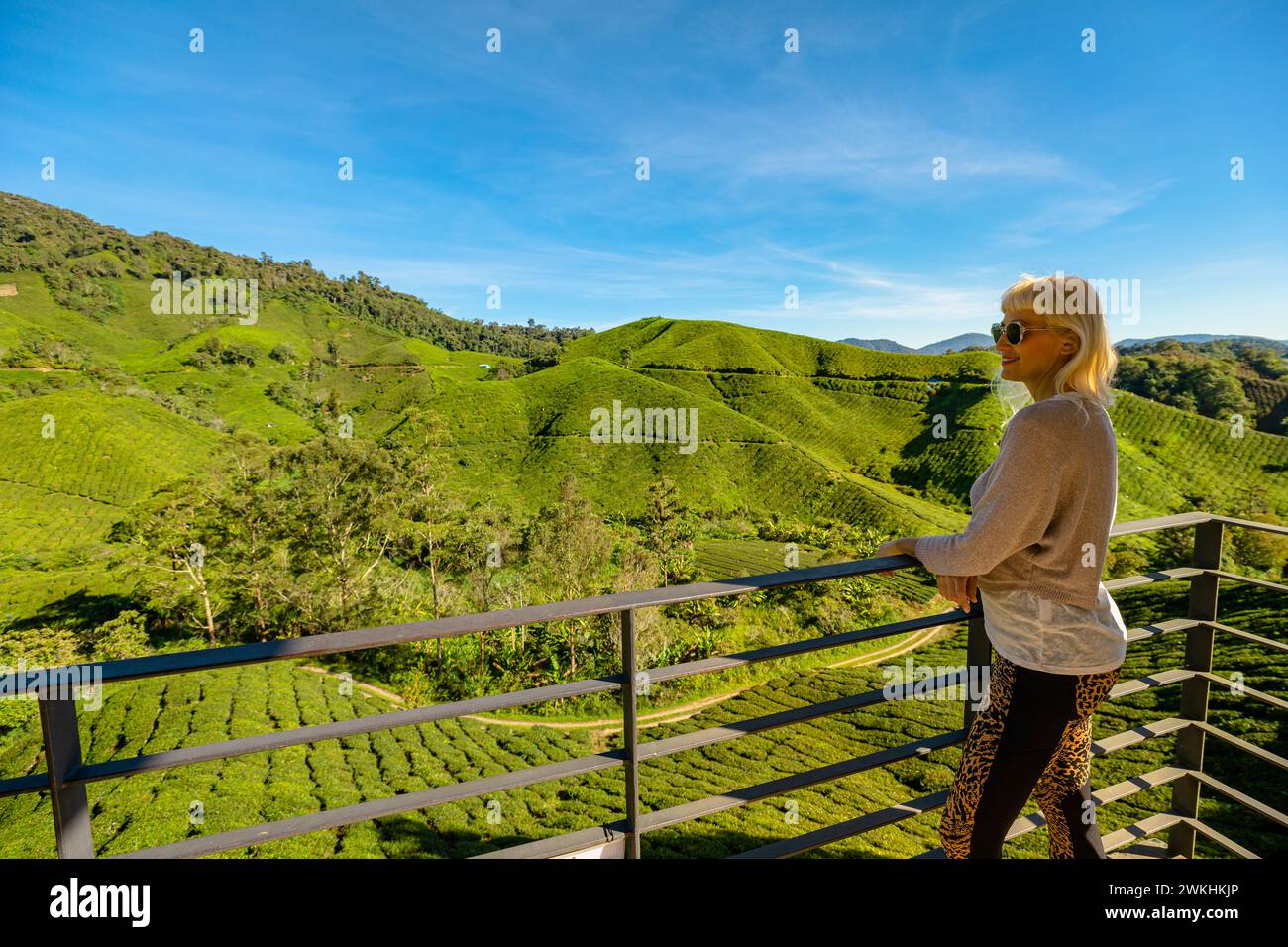 woman admiring breathtaking views of the terraced tea fields in Cameron ...