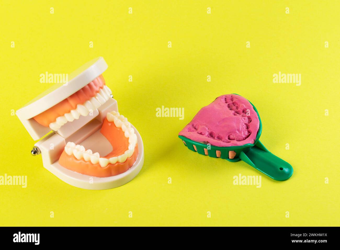 Green dental spoon for taking a dental impression in a mock-up of a ...